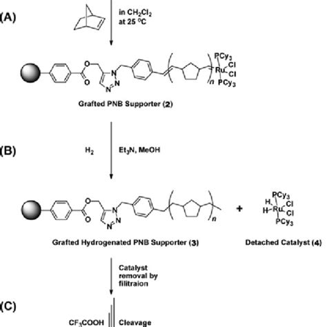 Pdf Highly Purified Cyclic Olefin Polymer By Romp And In Situ