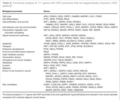 Table 1 From Definition Of The Landscape Of Promoter Dna Hypomethylation In Liver Cancer