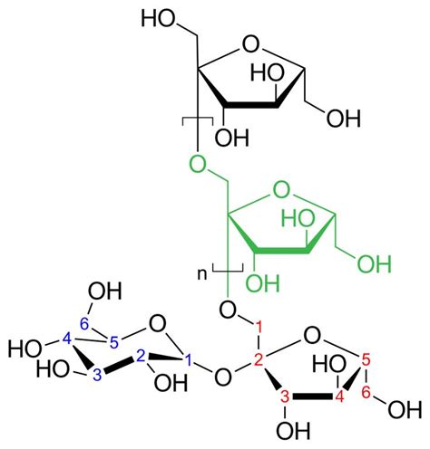 Inulin Wikipedia Physiology Molecular Structure Molecular