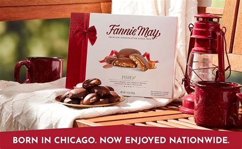 Fannie May Milk Chocolate Candy Pixies 14 Oz T Box