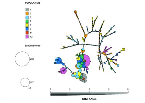 Minimum Spanning Network Of The Offspring Multilocus Genotypes Each Download Scientific