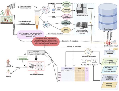Frontiers A Comprehensive Overview Of Microbiome Data In The Light Of Machine Learning