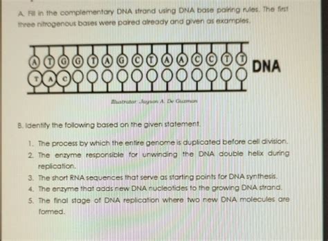 Solved Fill In The Complementary Dna Strand Using Dna Base Pairing