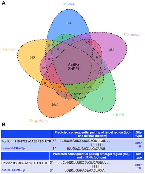 A The Venn Diagram Showed The Intersection Of Three Online Databases Download Scientific