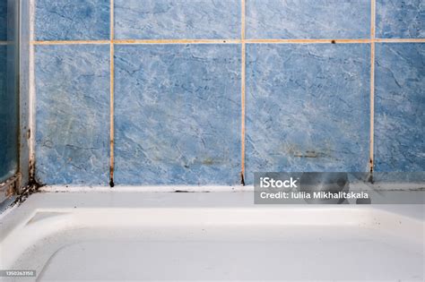 목욕 공간과 샤워실의 습도 요정 습기 및 습기 문제가 있는 습기가 부족한 욕실에서 타일 조인트에서 곰팡이 곰팡이와 녹이 자라는 그라우트에 대한 스톡 사진 및 기타 이미지