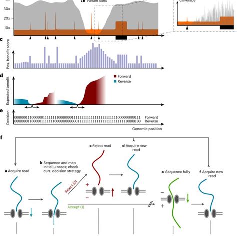 Methodological Overview Of Dynamic Active Sampling A Different Sites