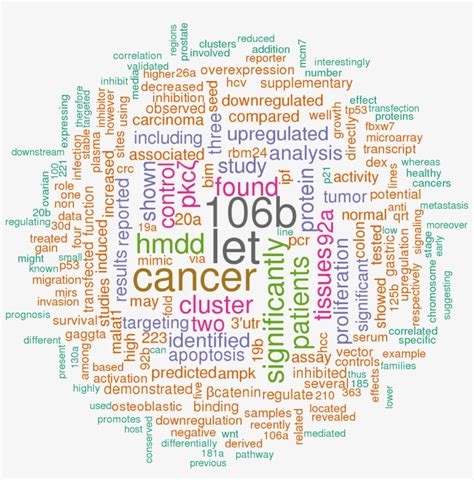 Stem Loop Sequence Hsa Mir 1296x1252 Png Download Pngkit