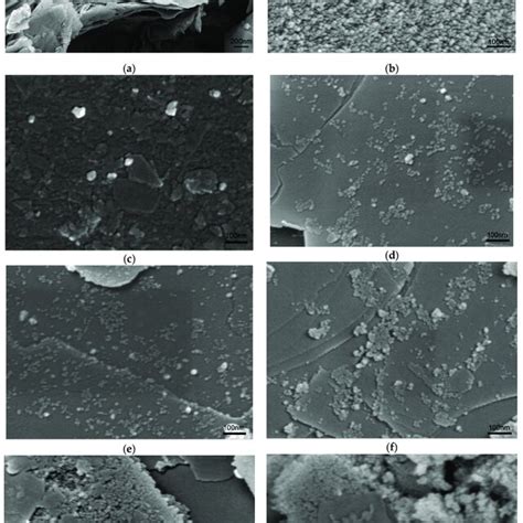Sem Morphologies Of Samples A Vt B Tio 2 C Comp18 D