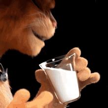 Drinking Milk  Funny