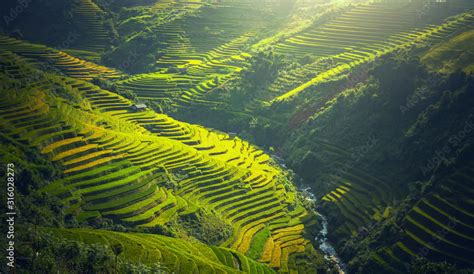 Foto De Rice Fields On Terraced Of Mu Cang Chai Yenbai Vietnam Rice