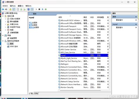 Mysql保姆级安装教程自定义安装路径mysql自定义安装路径 Csdn博客