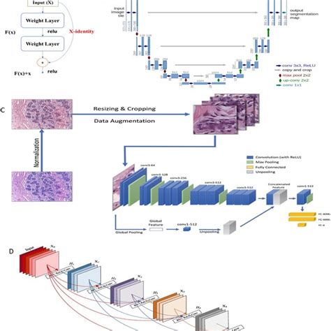 The Basic Models Used In Medical Imaging A ResNet Architecture B Download Scientific Diagram