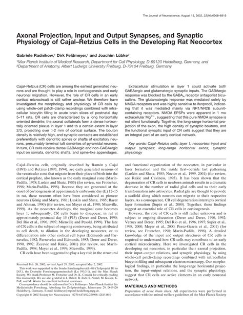 Pdf Axonal Projection Input And Output Synapses And Synaptic
