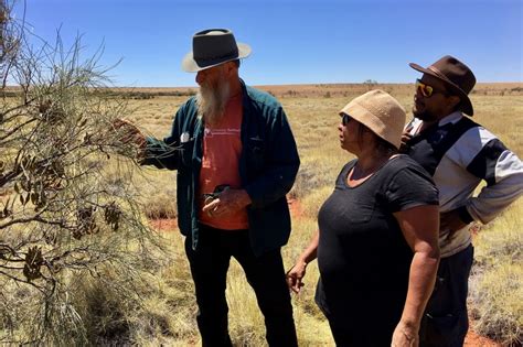 Restoring Pilbaras Tussock Grasslands Greening Australia Greening Australia