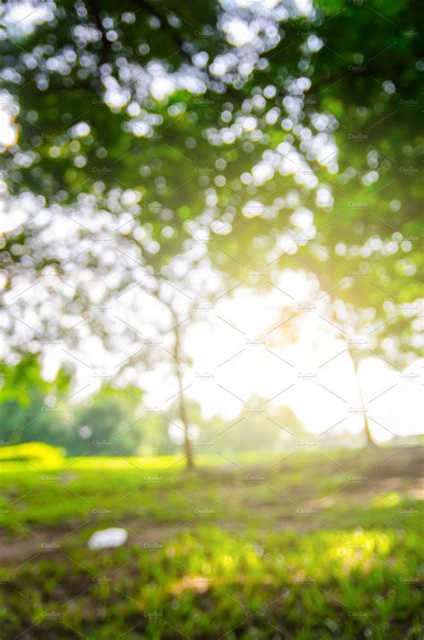 Blurred Nature Background Featuring Park Blurred And Blur Dslr