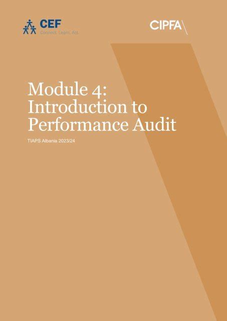 Module 4 Introduction To Performance Audit 4A