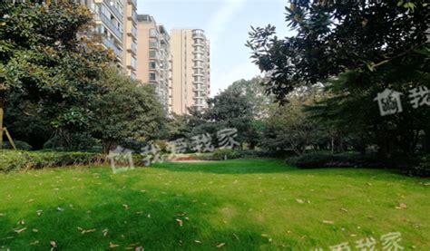 杭州东方郡 欣盛东方郡 大山谷图库