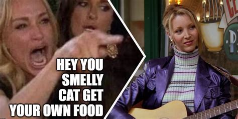 Phoebe Buffay Smelly Cat