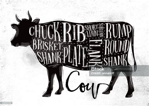 쇠고기 절단 방식 소고기에 대한 스톡 벡터 아트 및 기타 이미지 소고기 자르기 암소 Istock