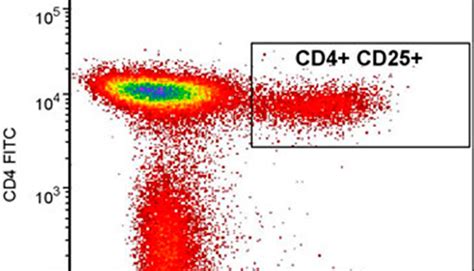 Flow Cytometry Tema Ricerca