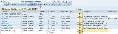 oo exception message class with exception class sapcodes