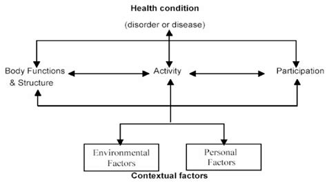 Interactions Between The Components Of Icf Source Who 2001 Download Scientific Diagram
