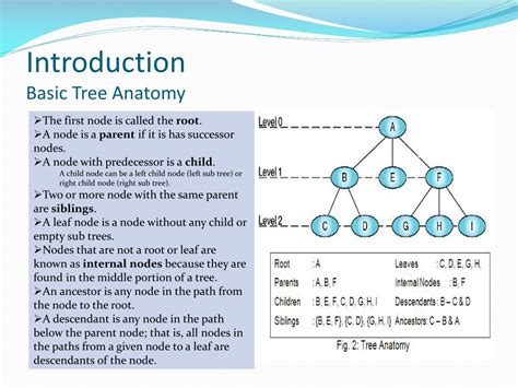 Ppt Chapter 7 Trees Powerpoint Presentation Free Download Id2961726