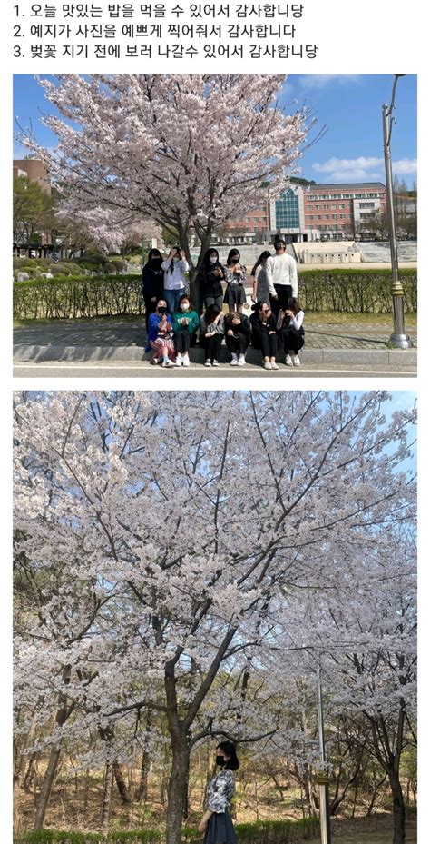 행사 및 자랑거리 제자들과 벚꽃데이트 방송미디어메이크업과