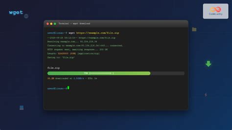 Ftp Command Linux Complete Guide To File Transfer Protocol Client Operations Codelucky