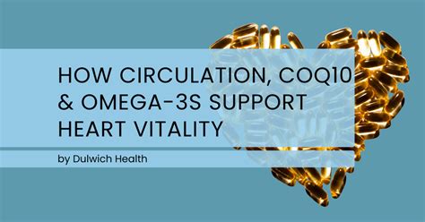 How Circulation Coq10 And Omega 3s Support Heart Vitality Dulwich Health