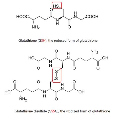 Learn New Frontrow International Original Luxxe Products