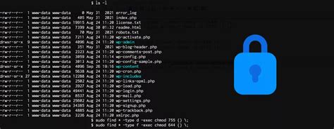 The Correct Way To Set Wordpress File Permissions Using Ssh Ali Khallad