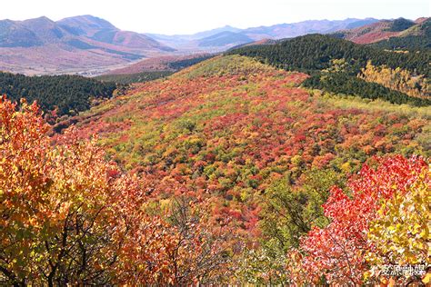 大王杖子乡：打造特色旅游示范区 推动生态富民双赢 乡镇信息 凌源市人民政府