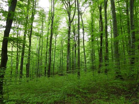 Министерство на Министерство на околната среда и водите