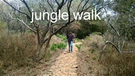 Attakatti Horn Bill View Point தமிழ் On The Way To Valparai Vlog 2 Youtube