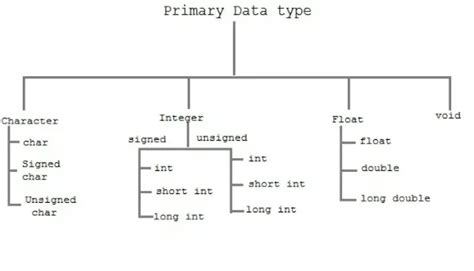 Tipos De Datos En Programación