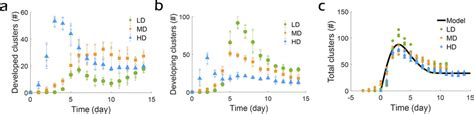 Dynamics Of Cluster Evolution A Time Evolution Of The Number Of