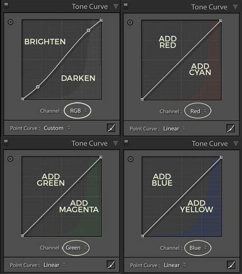 Understanding The Tone Curve In Lightroom Photography Hero