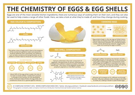 The Chemistry Of Eggs And Egg Shells Compound Interest