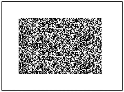 Static Visual Noise Svn A Screen Of Random Black And White Squares Download Scientific