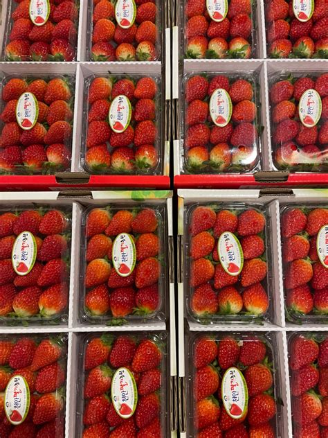 2월 22일 싱싱한 딸기🍓🍓 충청남도 천안시 서북구 두정동 비즈프로필