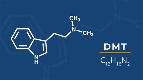 Dmt Experience Facts And Side Effects Sandstone Care