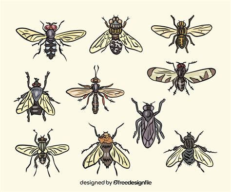 Insects Vector Free Download