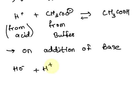 SOLVED Please Type The Answer Explain The Importance Of The Protein Buffer System To Human