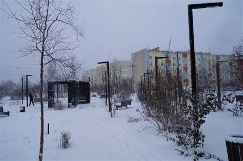 Метель в Палатке — Заря Севера