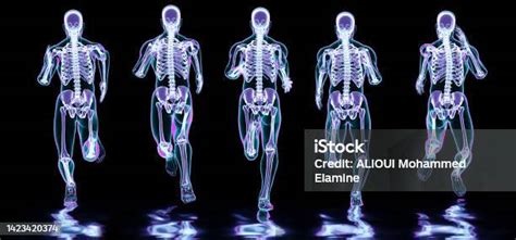 달리기 남자의 골격 시스템 달리는 동안 뼈 해부학 인간의 육체 및 스포츠 조깅하는 사람 달리기 남자 의학적으로 정확한 피트니스