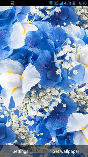 White Flowers Live Wallpaper For Android White Flowers Free Download