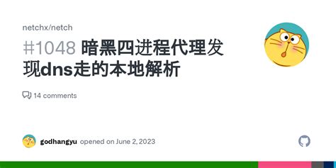 暗黑四进程代理发现dns走的本地解析 · Issue 1048 · Netchxnetch · Github