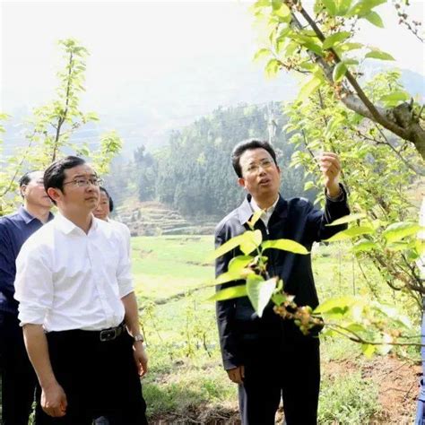 张定超到盘州市宣讲全国两会精神，调研农业生产工作种子相关情况肥料