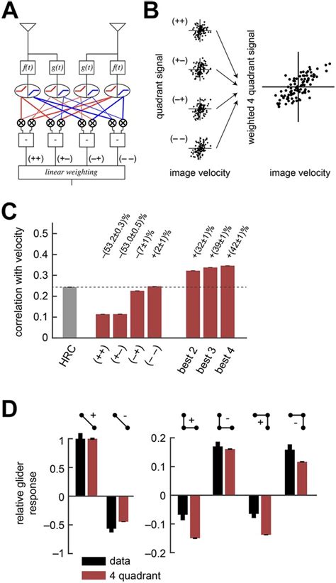Figures And Data In Nonlinear Circuits For Naturalistic Visual Motion Estimation ELife